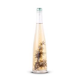 Grappa Ginepro – Pilzer